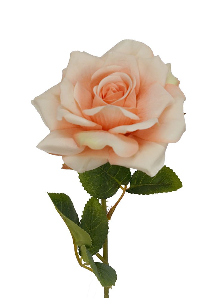 Artificial Rose Loretta Champagne 50cm - Desflora