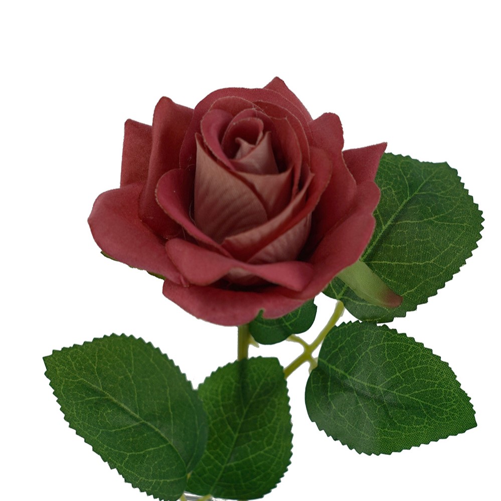 Baby Rose Harriet Watermelon 50cm - Desflora