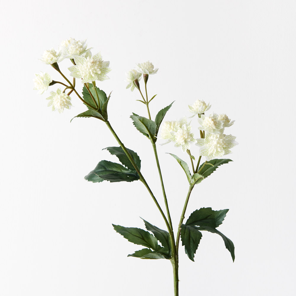Artificial Astrantia White 49cm - Desflora