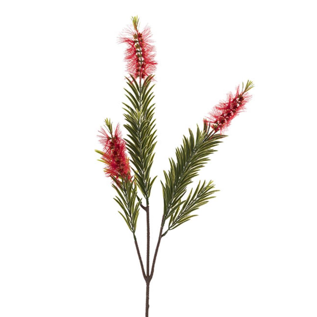 Native Bottle Brush Red 72cm - Desflora