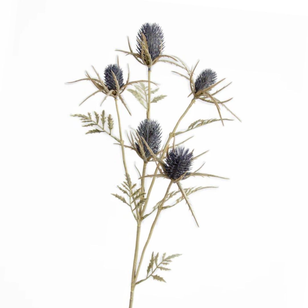 Scottish Thistle Spray Blue 75cm - Desflora