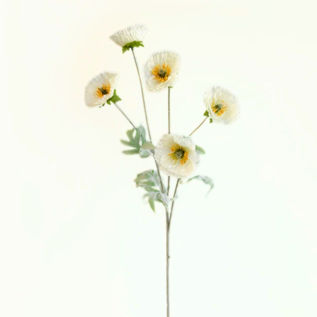 Field Poppy Spray White 70cm - Desflora