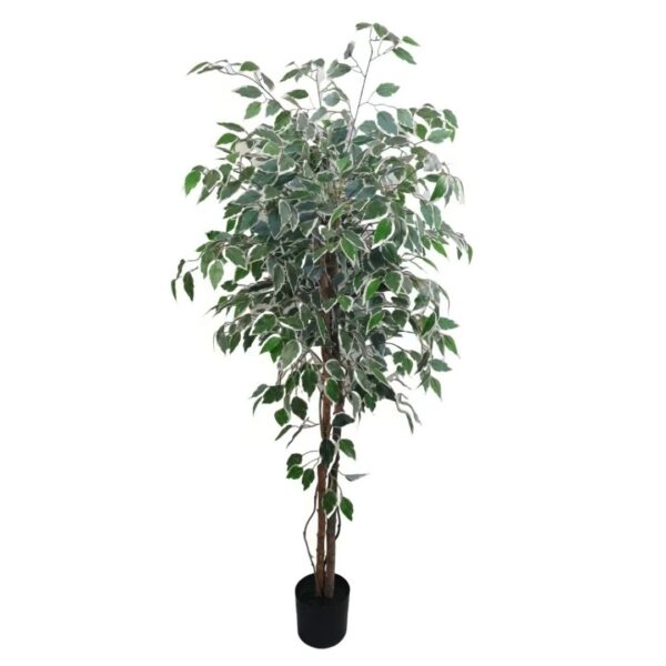 Artificial Ficus Tree variegated Potted 155cm - Desflora